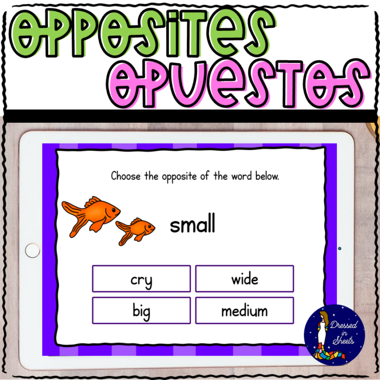 Opposites Opuestos BOOM Cards | Made By Teachers