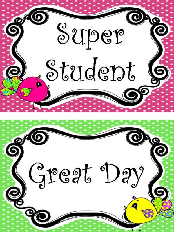 8 Birdies theme Class Behavior Clip Chart Cards. | Made By Teachers