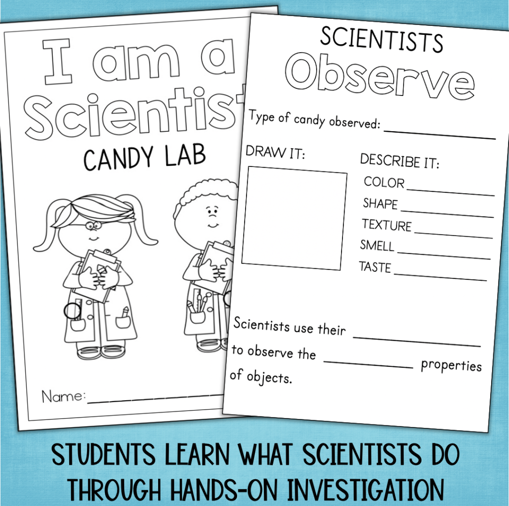 CANDY LAB ACTIVITY Intro to the Scientific Process - Made By Teachers