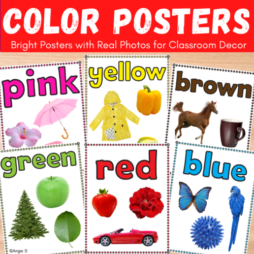 Color Posters with Real Pictures Classroom Decor - Made By Teachers
