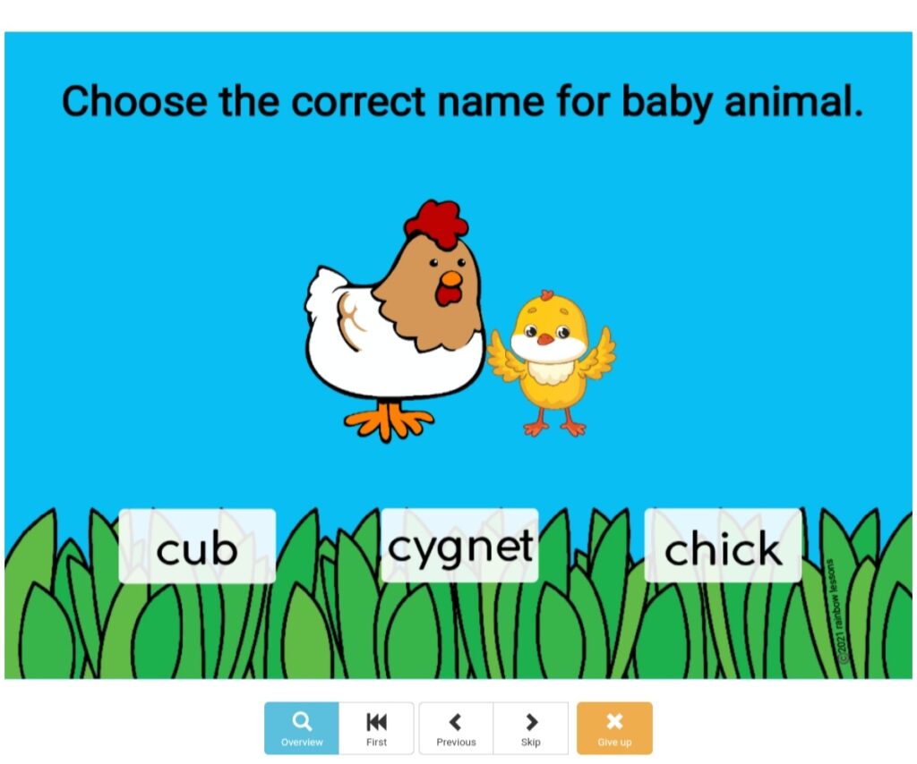 Animal and Their Babies | Baby Animals | Made By Teachers