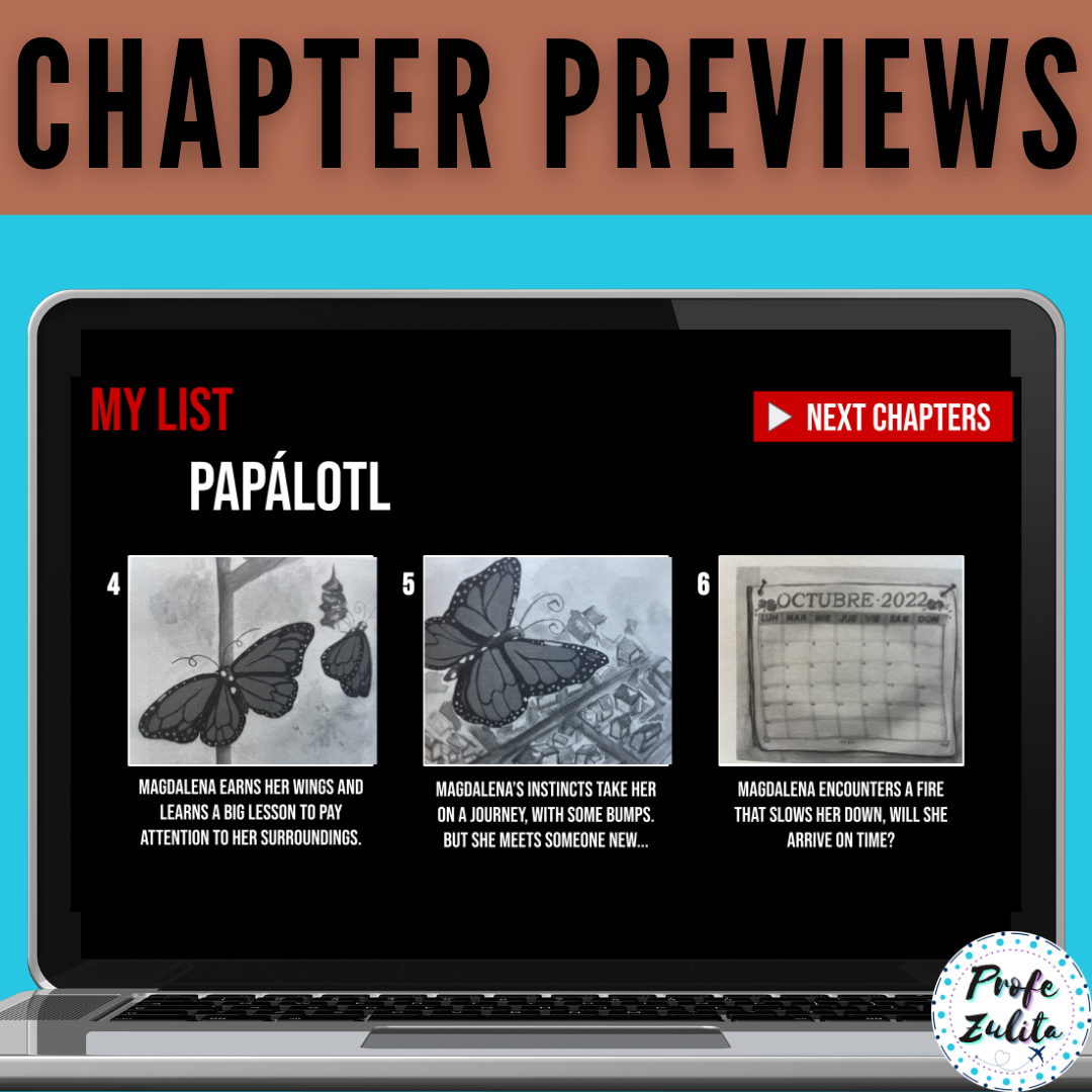 Project for ANY Novel or Book: Summary Project - Made By Teachers