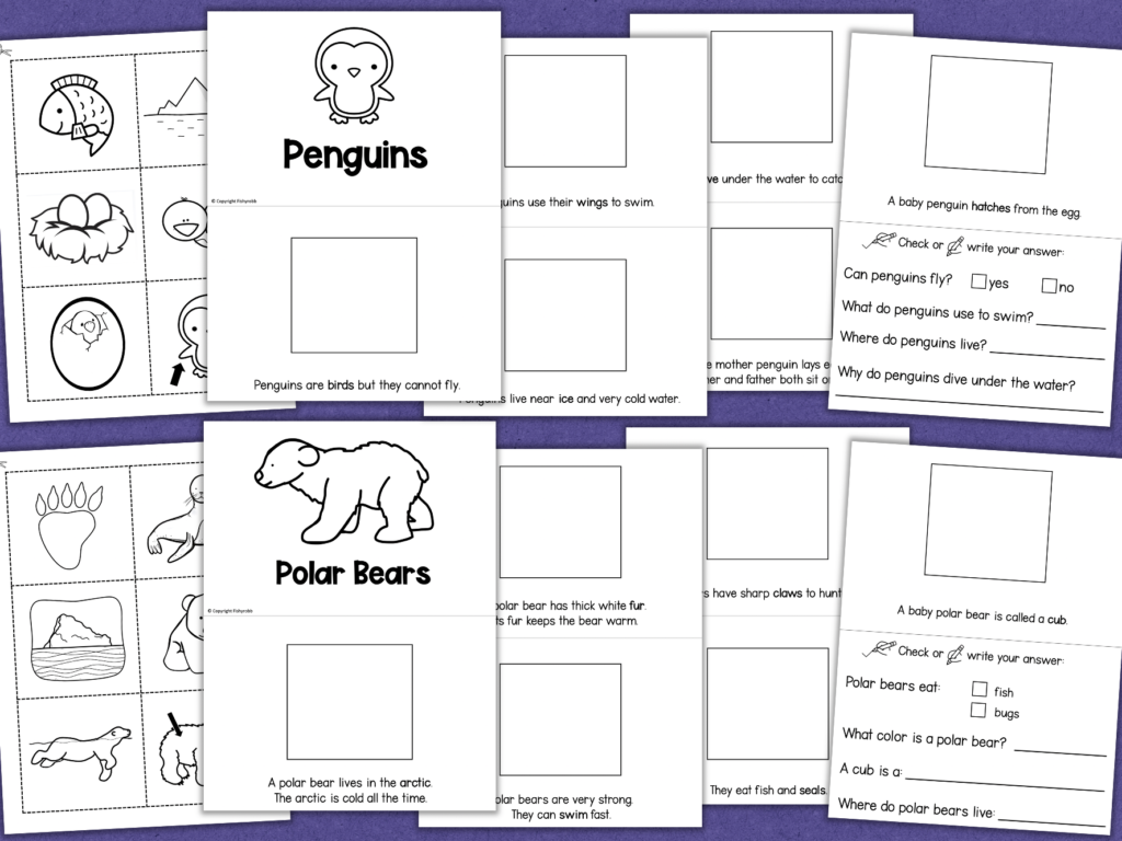 WINTER Beginning Reading Comprehension Books | Made By Teachers