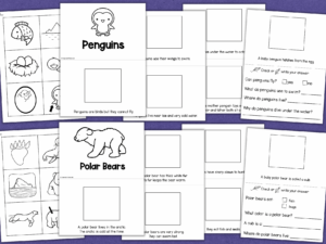 WINTER Beginning Reading Comprehension Books - Made By Teachers
