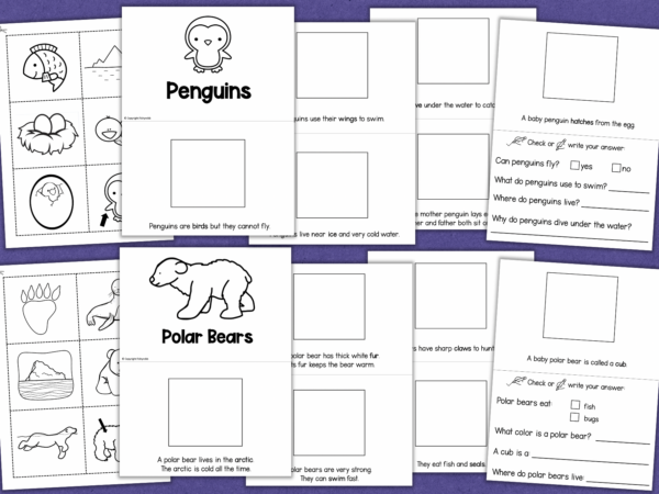 WINTER Beginning Reading Comprehension Books - Made By Teachers