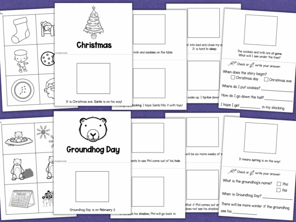 WINTER Beginning Reading Comprehension Books - Made By Teachers