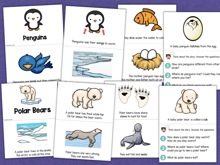 WINTER Beginning Reading Comprehension Books - Made By Teachers