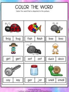 FREE -Correct Spelling Worksheets | Made By Teachers