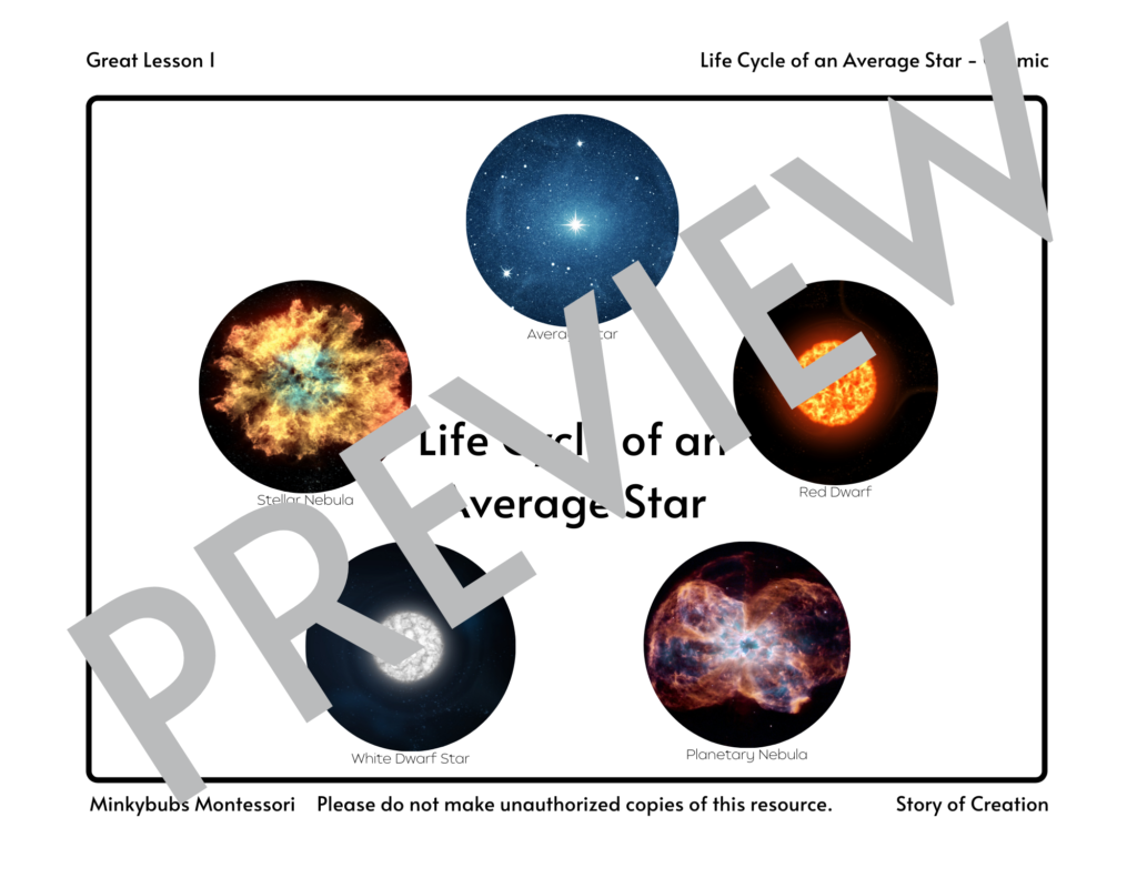 Life Cycle of an Average Star 3 and 4 part cards - Made By Teachers
