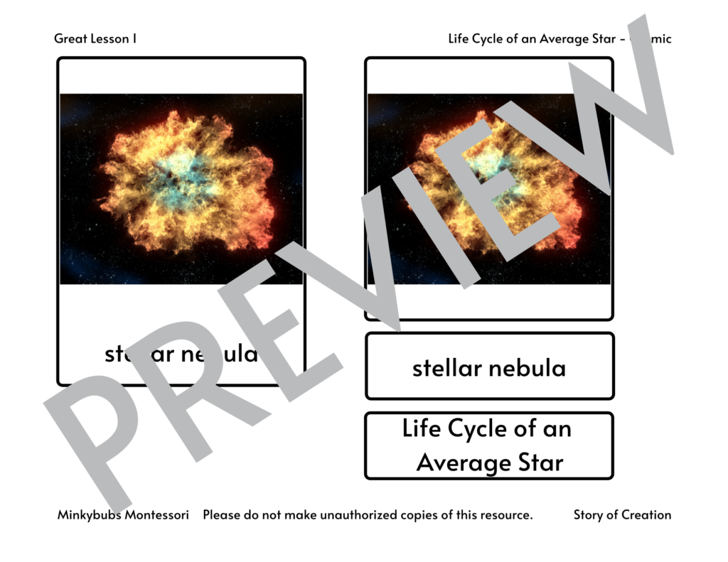Life Cycle of an Average Star 3 and 4 part cards - Made By Teachers