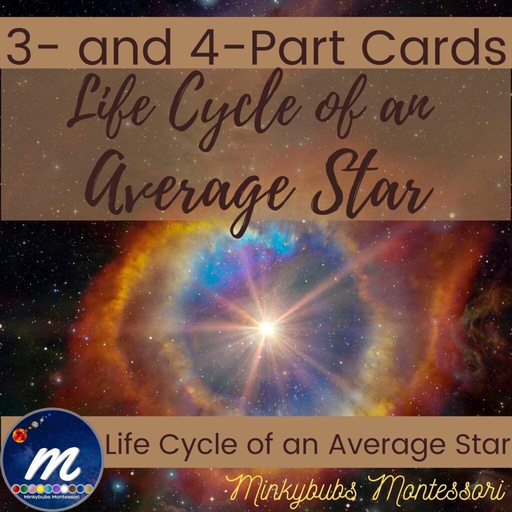 Life Cycle of an Average Star 3 and 4 part cards - Made By Teachers