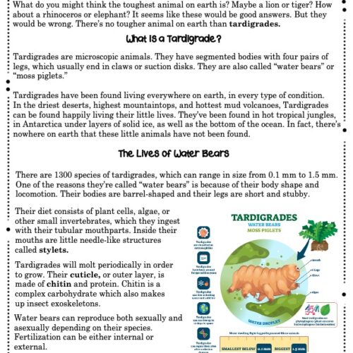 Tardigrades Informational Text Activity | Made By Teachers