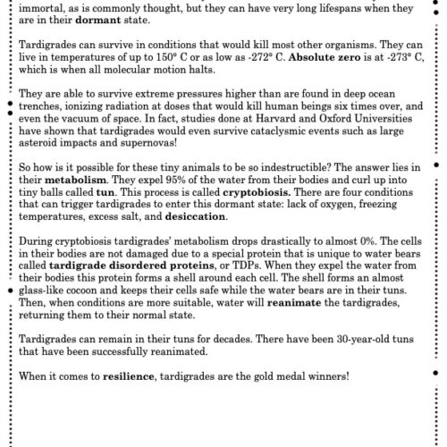 Tardigrades Informational Text Activity | Made By Teachers