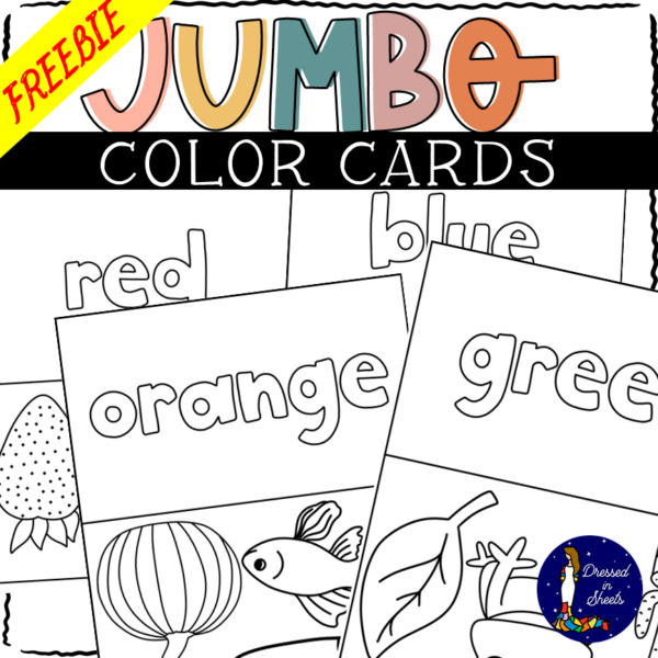 FREEBIE - JUMBO Color Cards | Made By Teachers