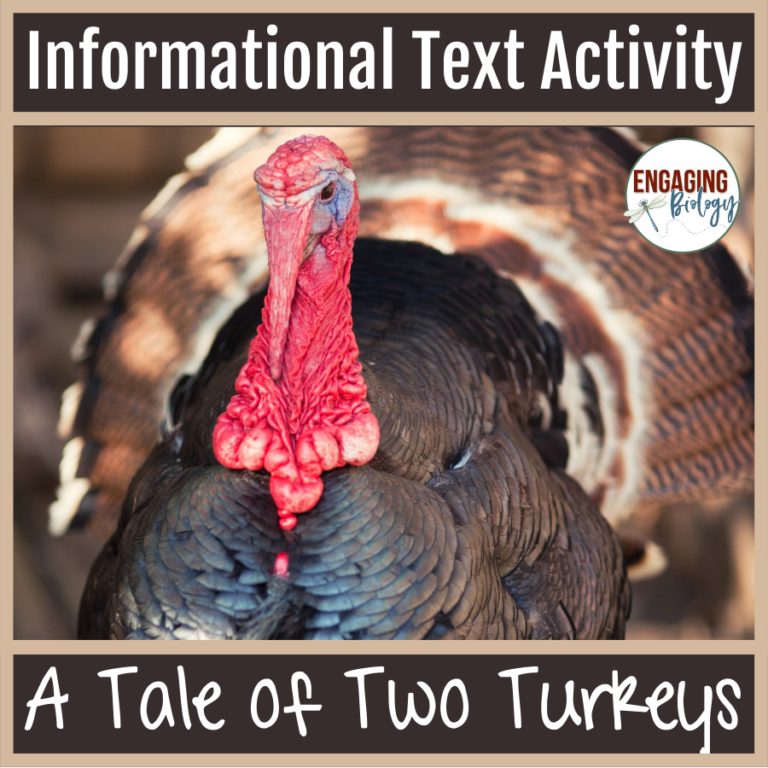 Informational Text Activity A Tale of Two Turkeys - Made By Teachers