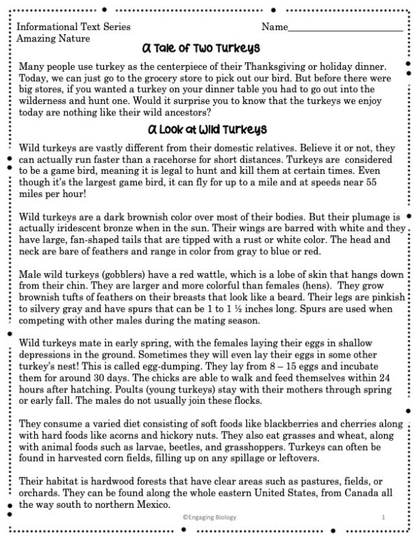 Informational Text Activity A Tale of Two Turkeys - Made By Teachers