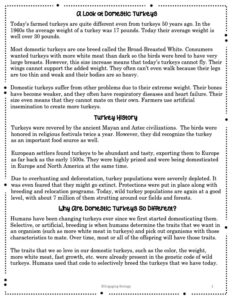 Informational Text Activity A Tale of Two Turkeys | Made By Teachers