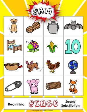 Phoneme Substitution Bingo Game - Made By Teachers