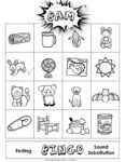 Phoneme Substitution Bingo Game - Made By Teachers