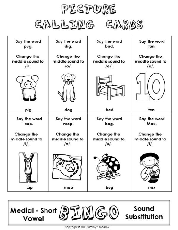 Phoneme Substitution Bingo Game | Made By Teachers