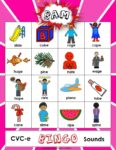 CVCE Words Bingo Game - Magic e - Made By Teachers