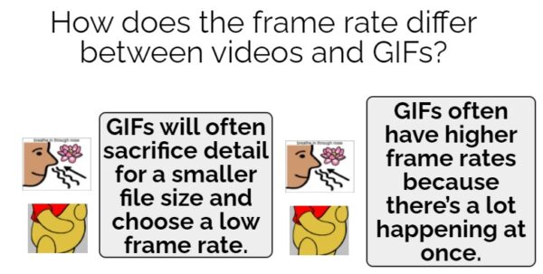 BREATHING/EASY ONSET FOR STUTTERING: Quiz on Elect | Made By Teachers