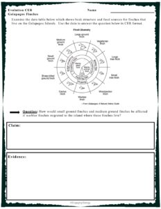 Evolution CERs Claim-Evidence-Reasoning - Made By Teachers