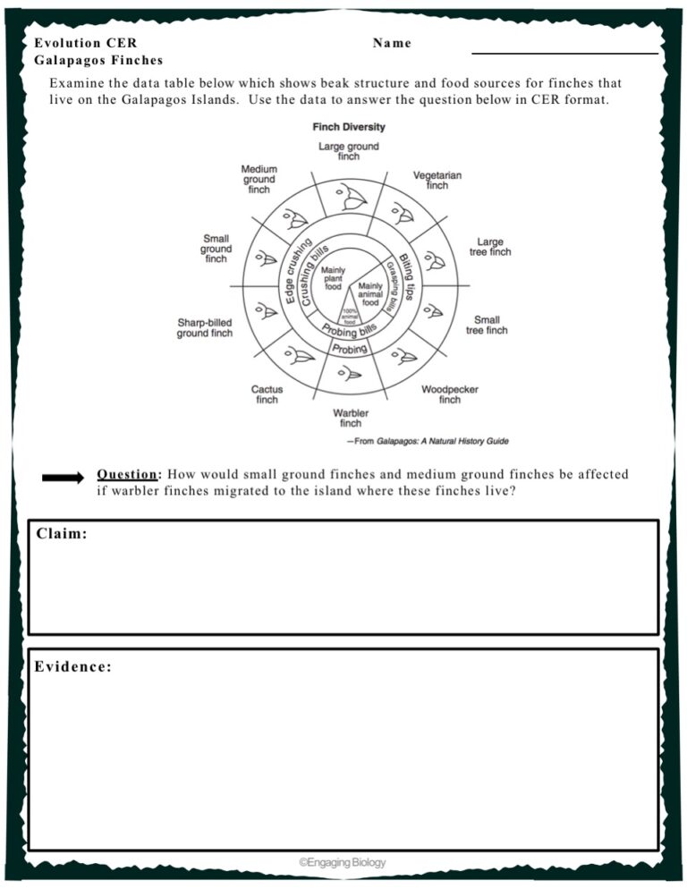 Evolution CERs Claim-Evidence-Reasoning - Made By Teachers