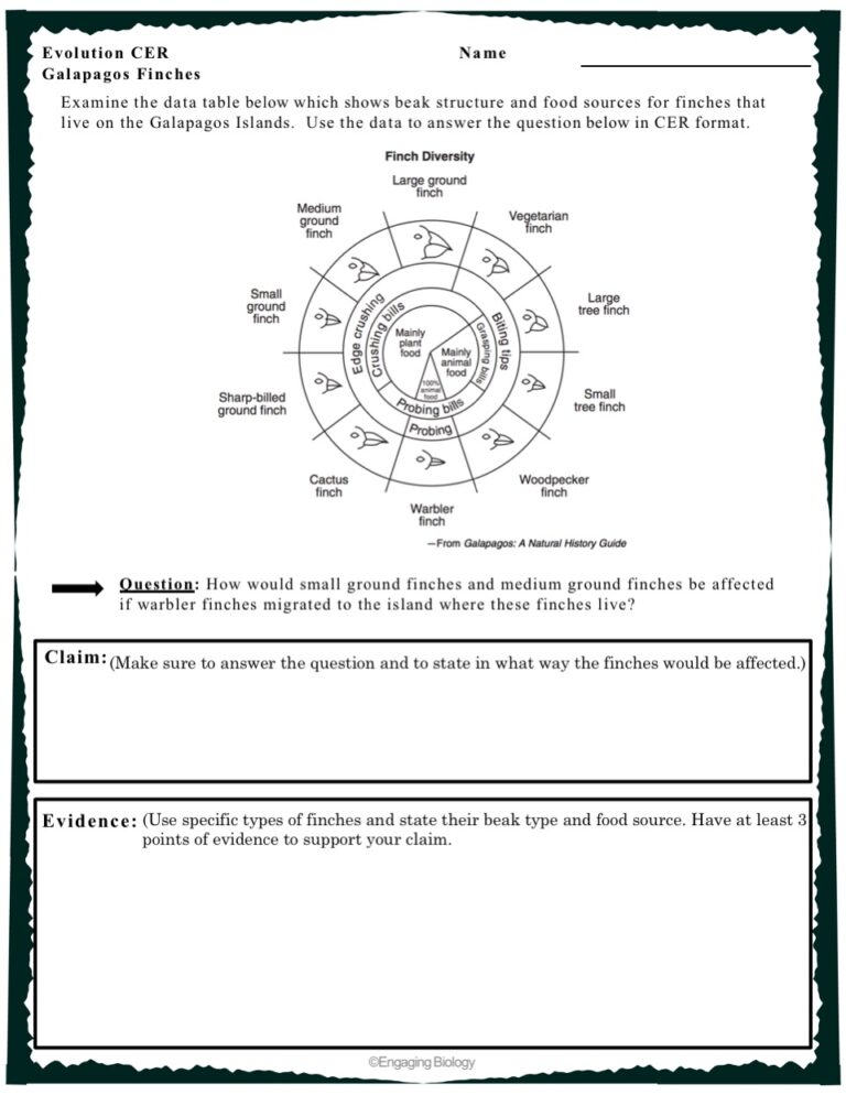 Evolution CERs Claim-Evidence-Reasoning | Made By Teachers