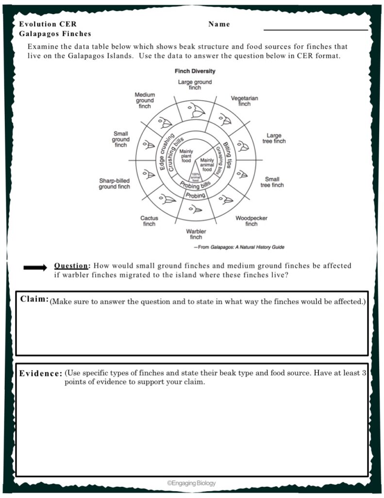 Evolution CERs Claim-Evidence-Reasoning | Made By Teachers