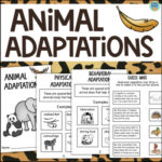 Animal Adaptations Interactive Science Activity | Made By Teachers