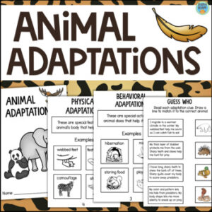Animal Adaptations Interactive Science Activity | Made By Teachers