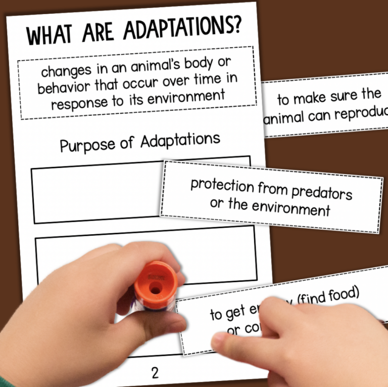Animal Adaptations Interactive Science Activity | Made By Teachers