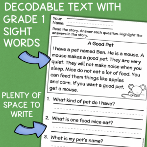 1st Grade Main Idea Worksheets Reading Passages | Made By Teachers
