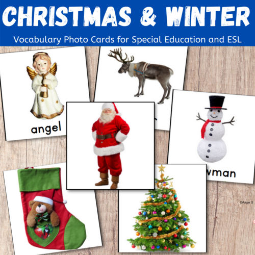 Christmas Vocabulary Cards for Winter with Real Pictures | Made By Teachers
