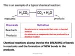 Enzymes Powerpoint and Student Notes - Made By Teachers