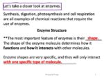 Enzymes Powerpoint and Student Notes - Made By Teachers
