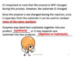 Enzymes Powerpoint and Student Notes - Made By Teachers