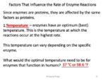 Enzymes Powerpoint and Student Notes - Made By Teachers