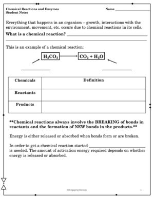 Enzymes Powerpoint and Student Notes - Made By Teachers