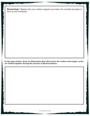 Biology CER Bundle - Made By Teachers