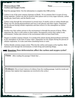 Biology CER Bundle - Made By Teachers