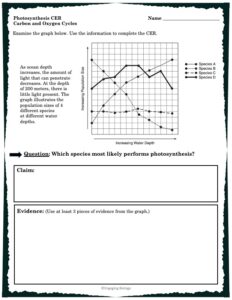 Biology CER Bundle - Made By Teachers