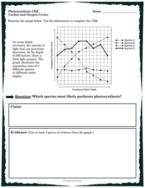 Biology CER Bundle - Made By Teachers