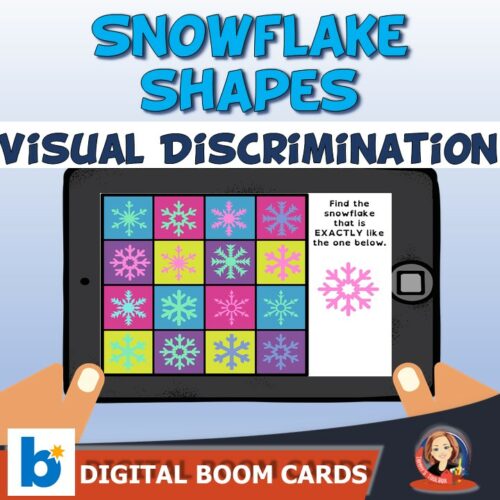 Winter Boom Card Mystery Picture Puzzle - Made By Teachers