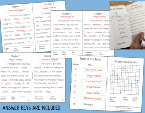 PENGUINS Interactive Reading Comprehension - Made By Teachers
