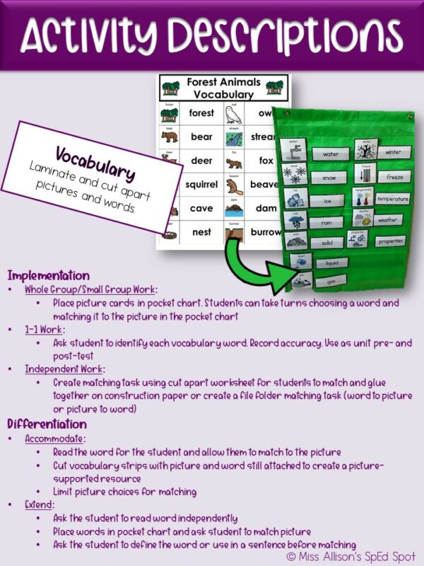 Forest Animals Thematic Unit for Elementary SpEd - Made By Teachers