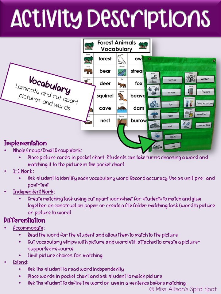 Forest Animals Thematic Unit for Elementary SpEd - Made By Teachers