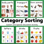 Category Sorting for Speech Therapy and Autism - Made By Teachers