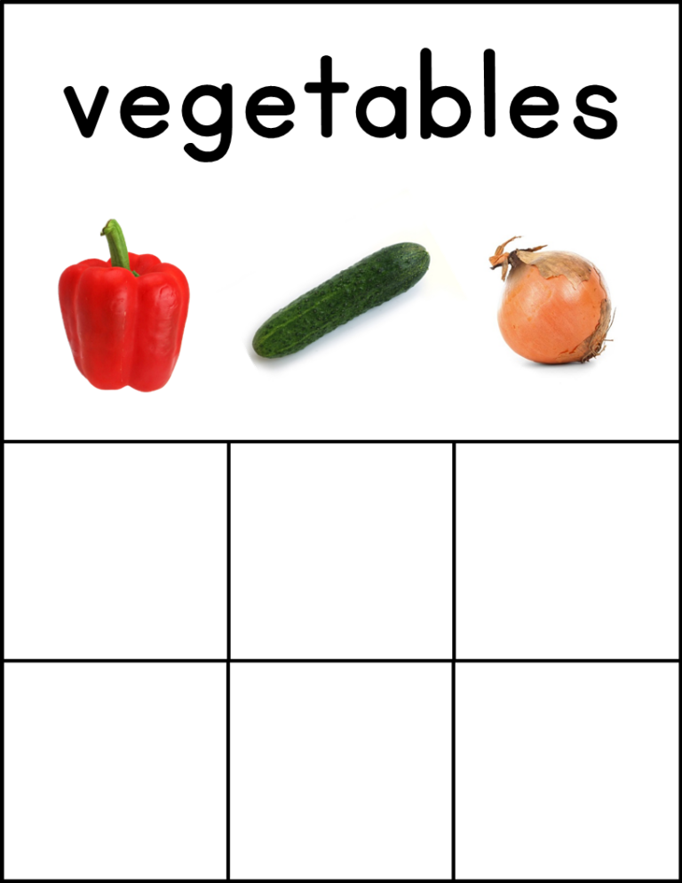 Category Sorting for Speech Therapy and Autism - Made By Teachers
